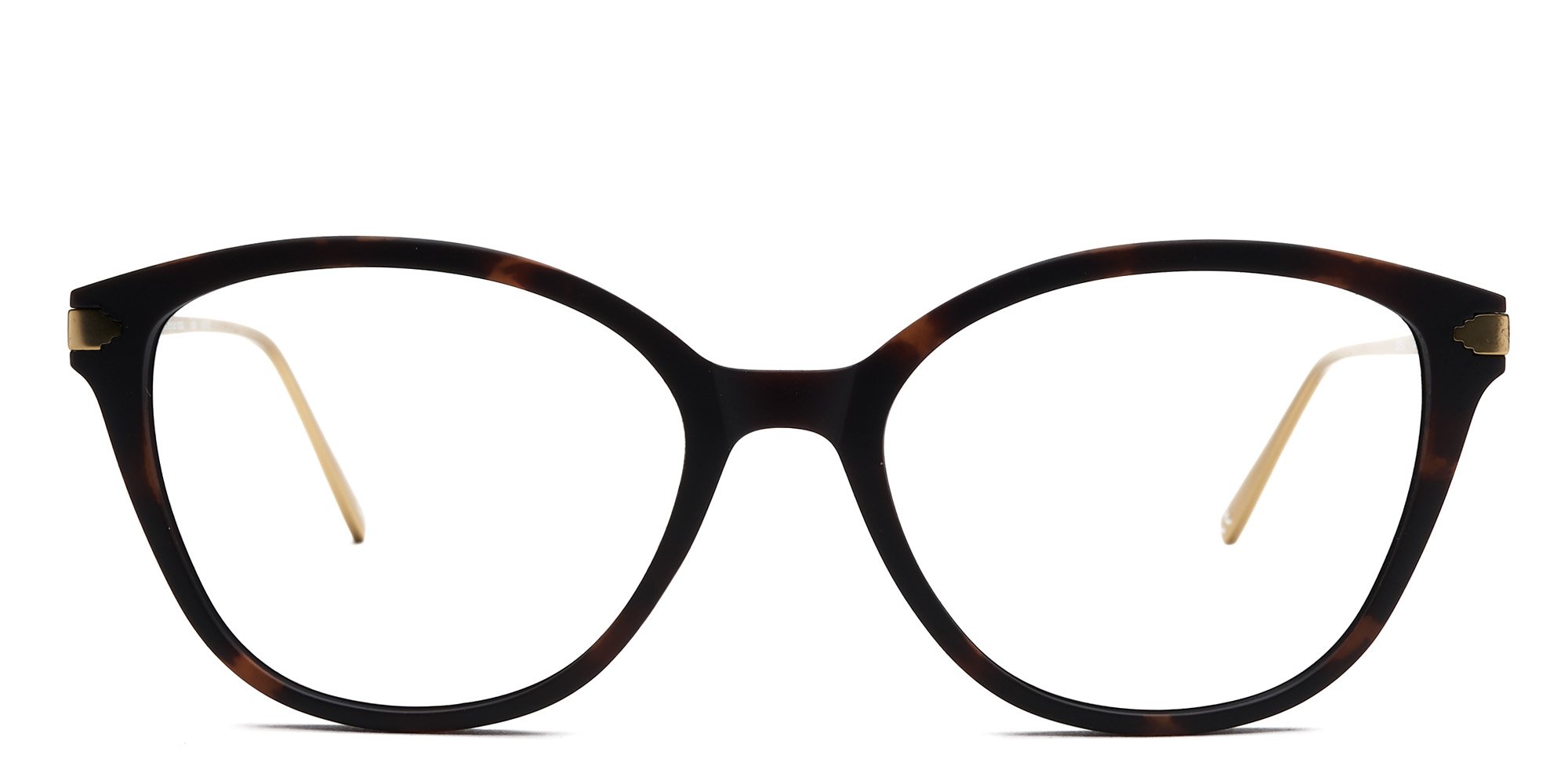 OptiContacts.com -- Karün Puma